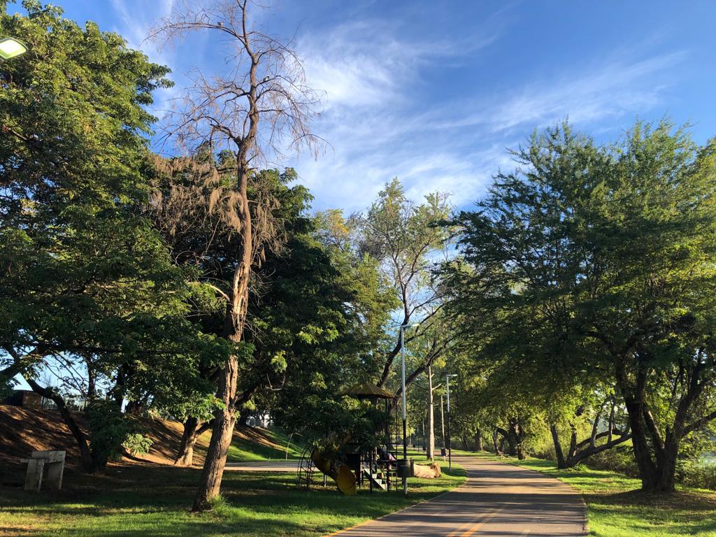Realizan conteo de aves en la ribera del Río Humaya en Culiacán