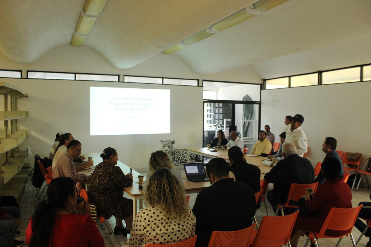 Presentan el mezcal como una alternativa económica en Sinaloa