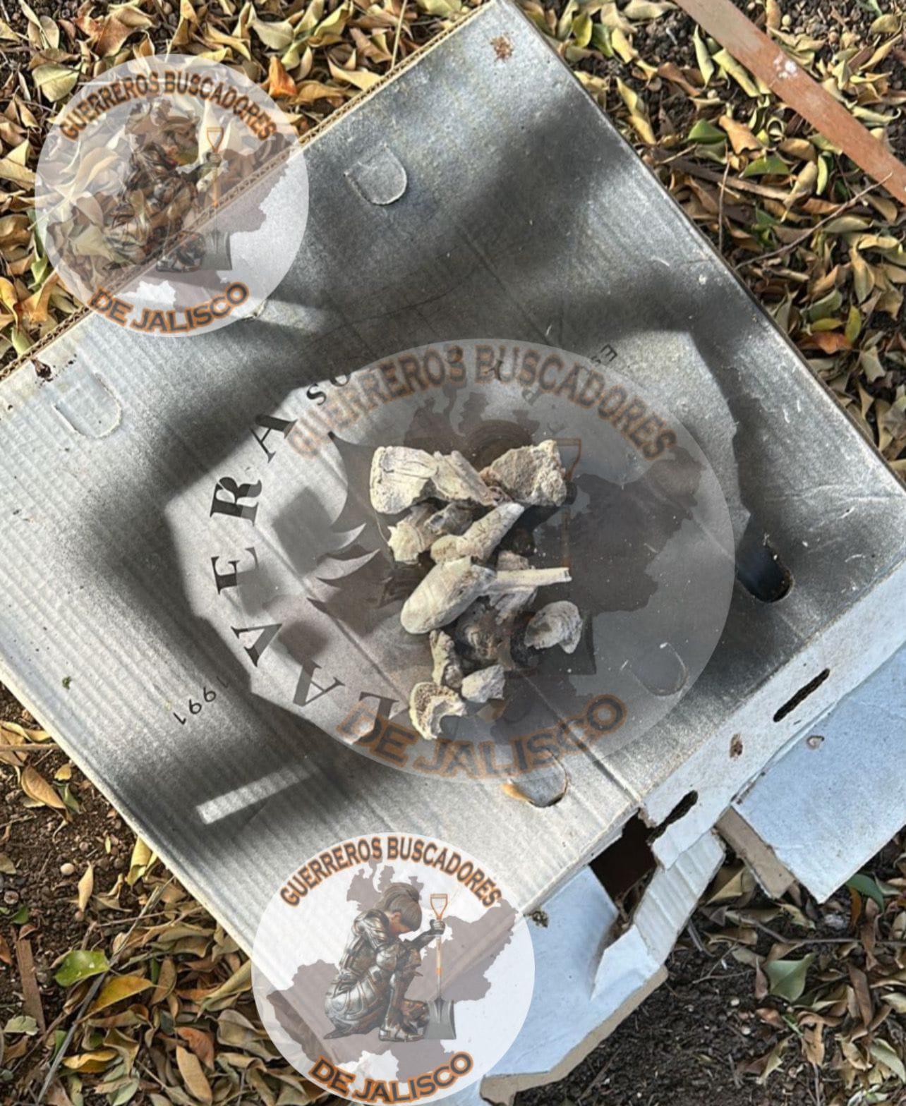 Hallan hornos crematorios y fosas clandestinas en Jalisco