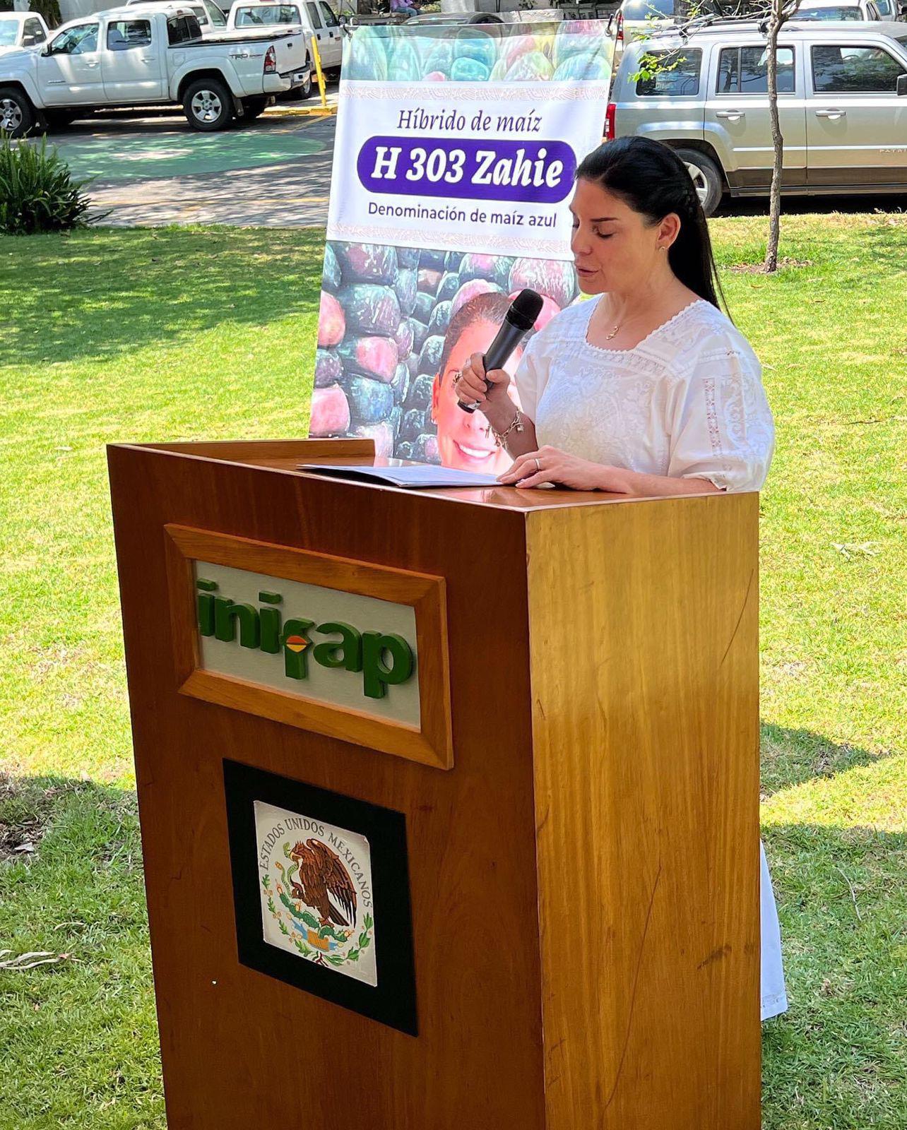 Nueva variedad de maíz azul lleva el nombre de la chef mazatleca Zahie Téllez