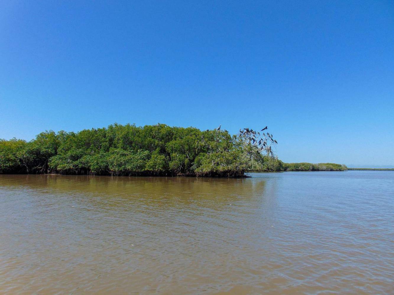 Premian a organización ambiental de Sinaloa por proyecto de ...