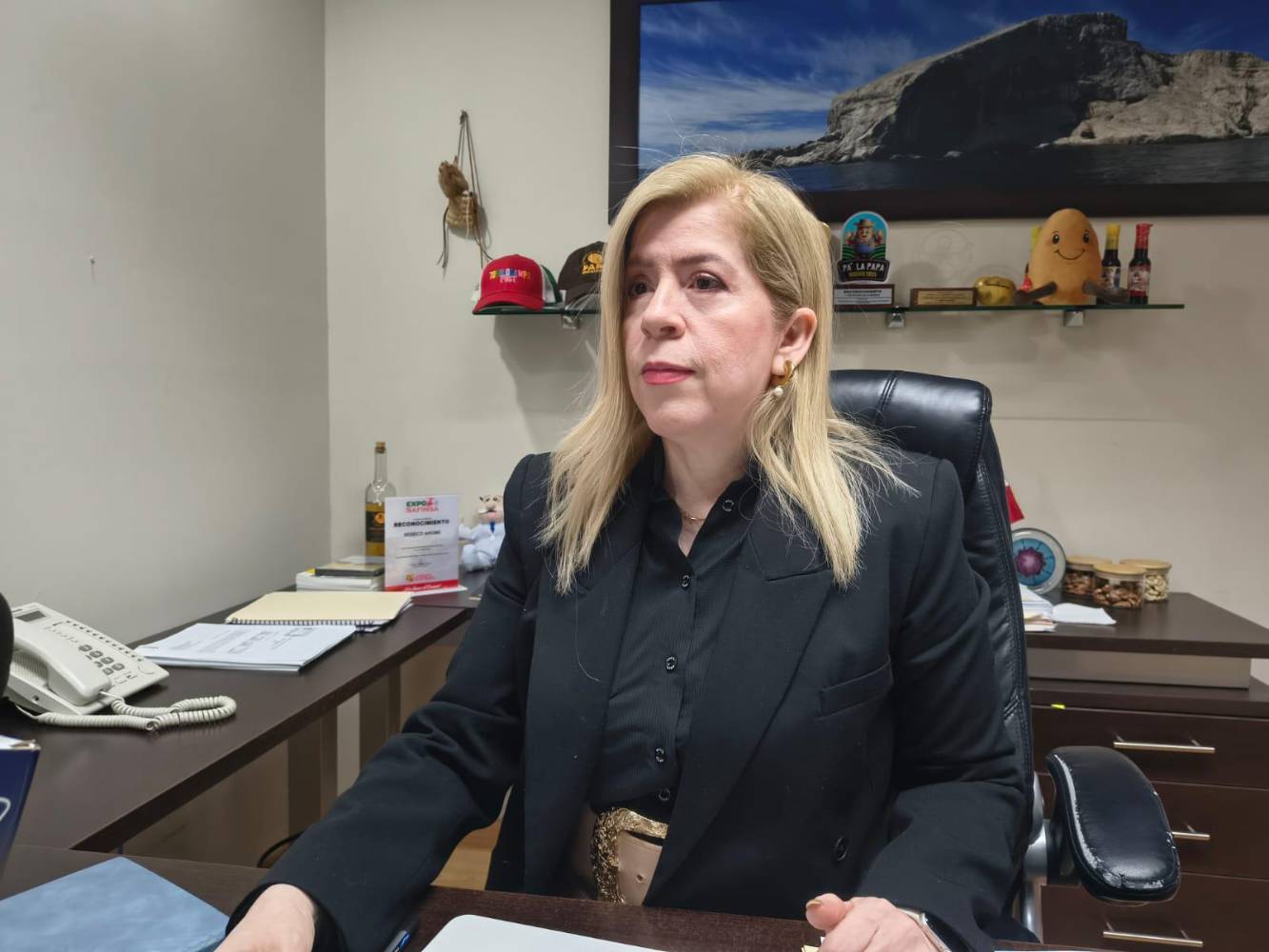 Renuncia la titular de la Secretaría de Economía en Ahome, Carmen Julia ...