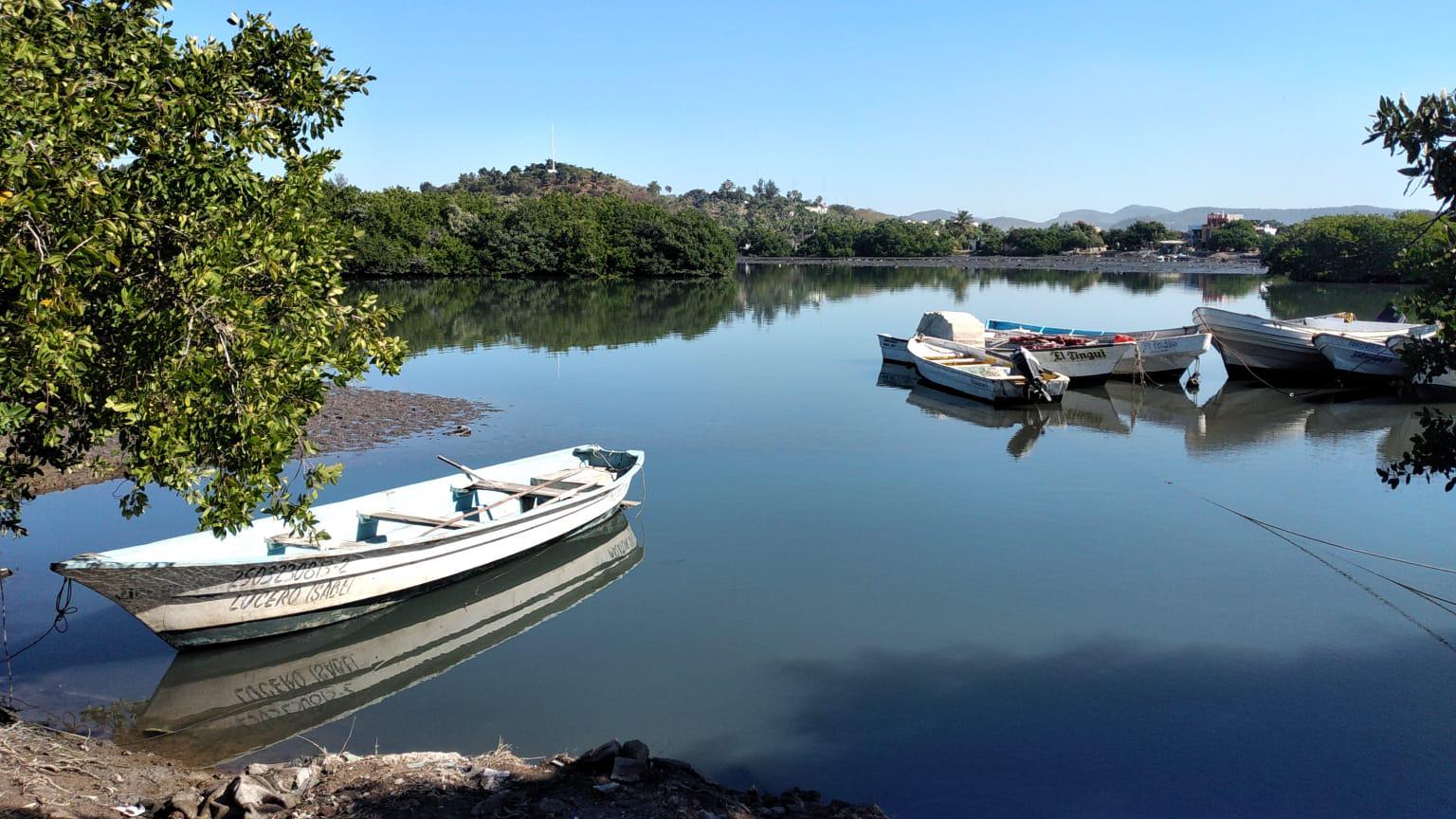 Caen miles de litros de drenaje al Estero del Infiernillo