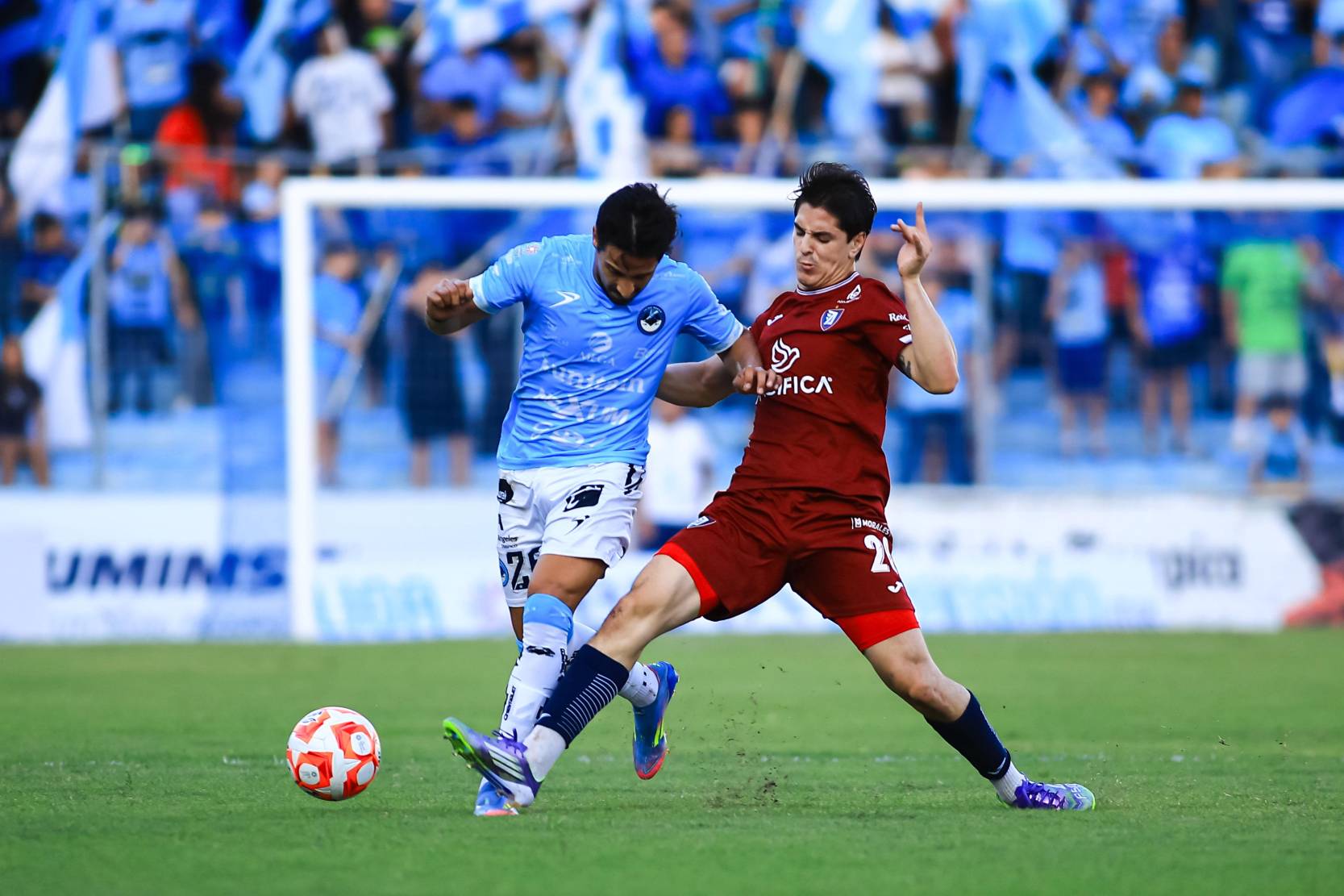 Jaiba Brava e Irapuato, los finalistas del Apertura 2025 en la Liga de ...