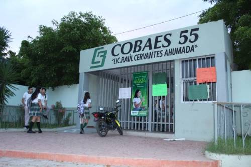 "Inician con normalidad clases en Cobaes, en Guasave"