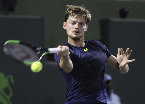 "Goffin y Simon avanzan en Montecarlo"