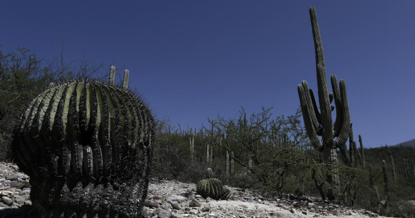 "La Unesco inscribe el Valle de Tehuacán-Cuicatlán como Patrimonio de ...