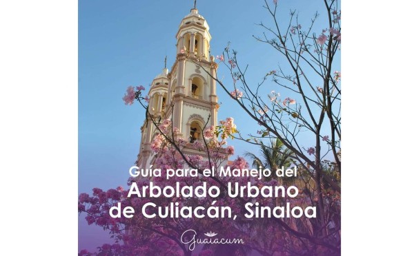 "Presentarán Guía para el Manejo de Arbolado Urbano en Culiacán"