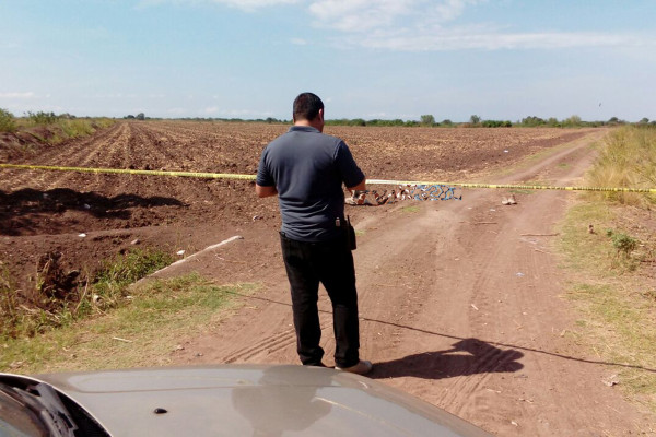 Hallan Asesinados A Balazos A Dos Hombres En Navolato 2669