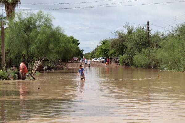 "En Corerepe, en Guasave, 40 familias están en el agua"
