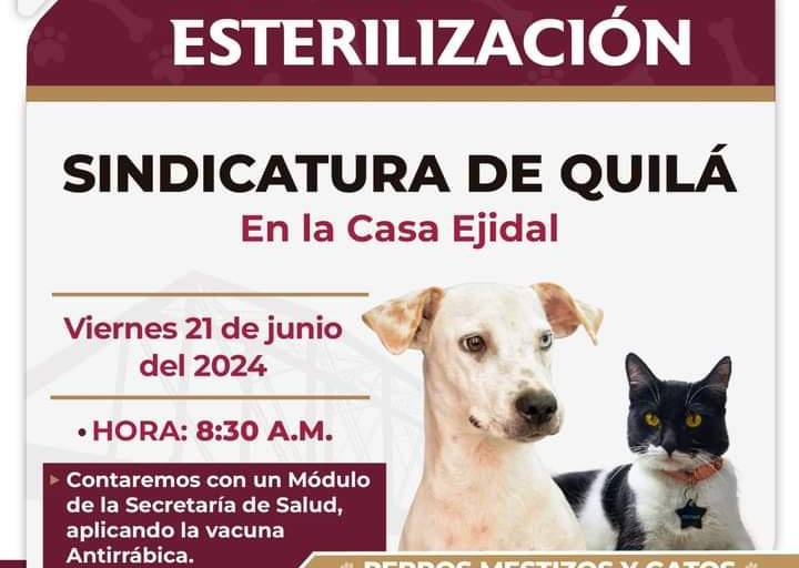Unidad de Protección Animal invita a los habitantes de Quilá a campaña ...