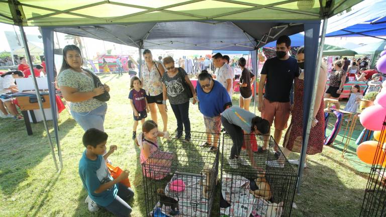 Celebra Mercado Rosa su primer aniversario con el Bazar Gran Noche Mexicana