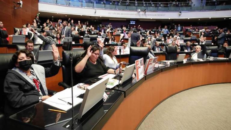 Senado aprueba ampliar periodo vacacional de seis a 12 días; pasará a ...