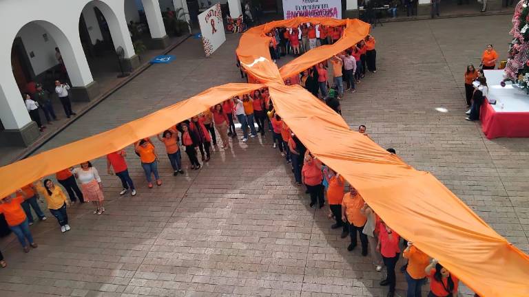 Personal del Ayuntamiento de Culiacán forma lazo naranja por Día contra ...