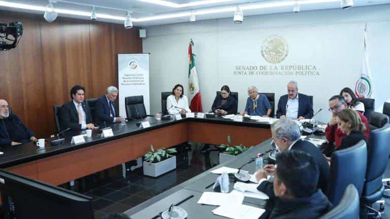 Comisiones Del Senado Aprueban Reformas A La Ley De Amparo Oposición