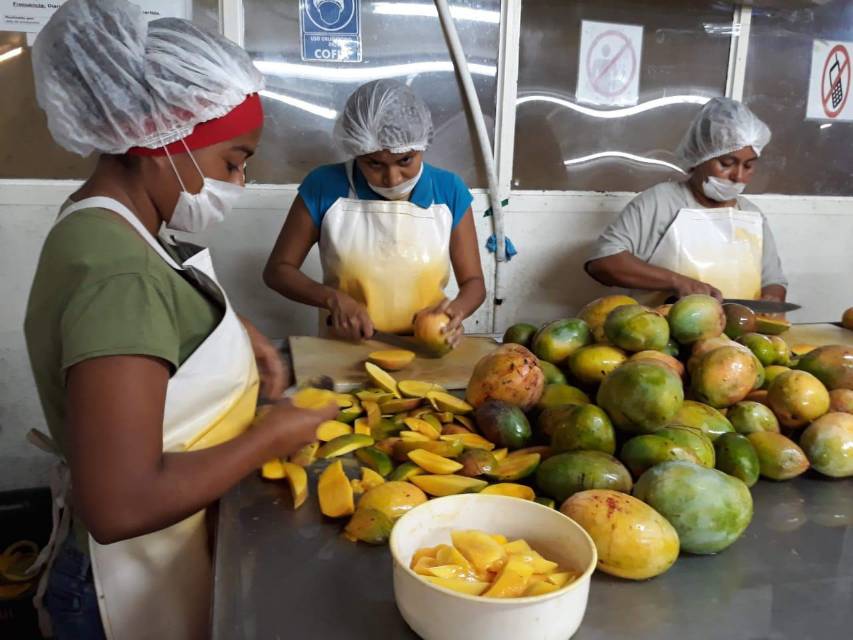 Escuinapa cumple 106 años como municipio, y su gente lo celebra a ...